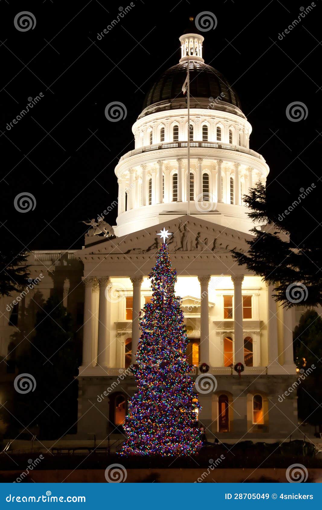 Nightime Christmas Tree stock image. Image of seasonal - 28705049