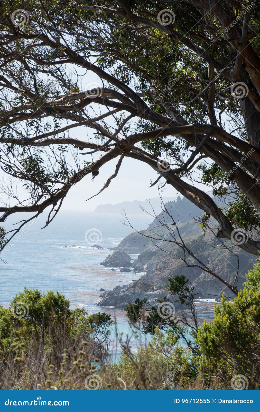 California Coast with Tree Framing Stock Image - Image of nature ...