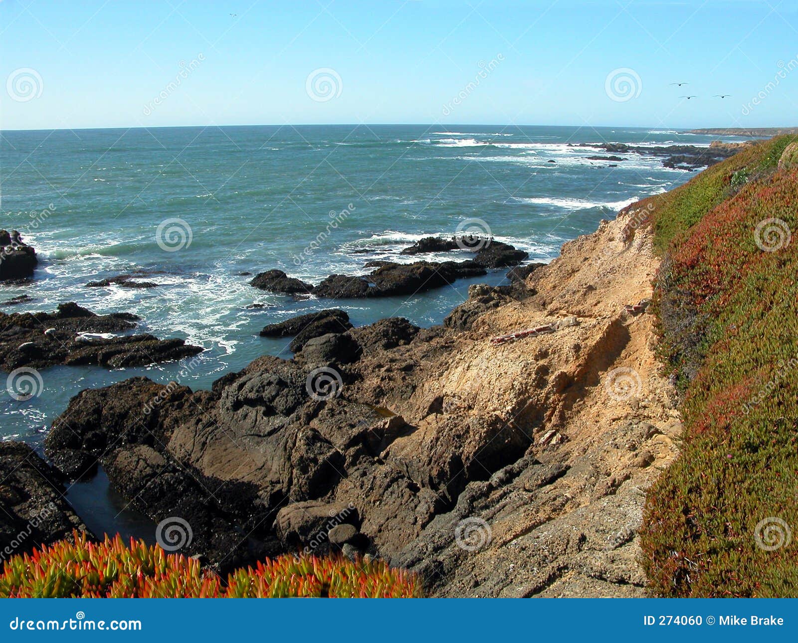 California Coastline stock photo. Image of beaches, plant - 274060