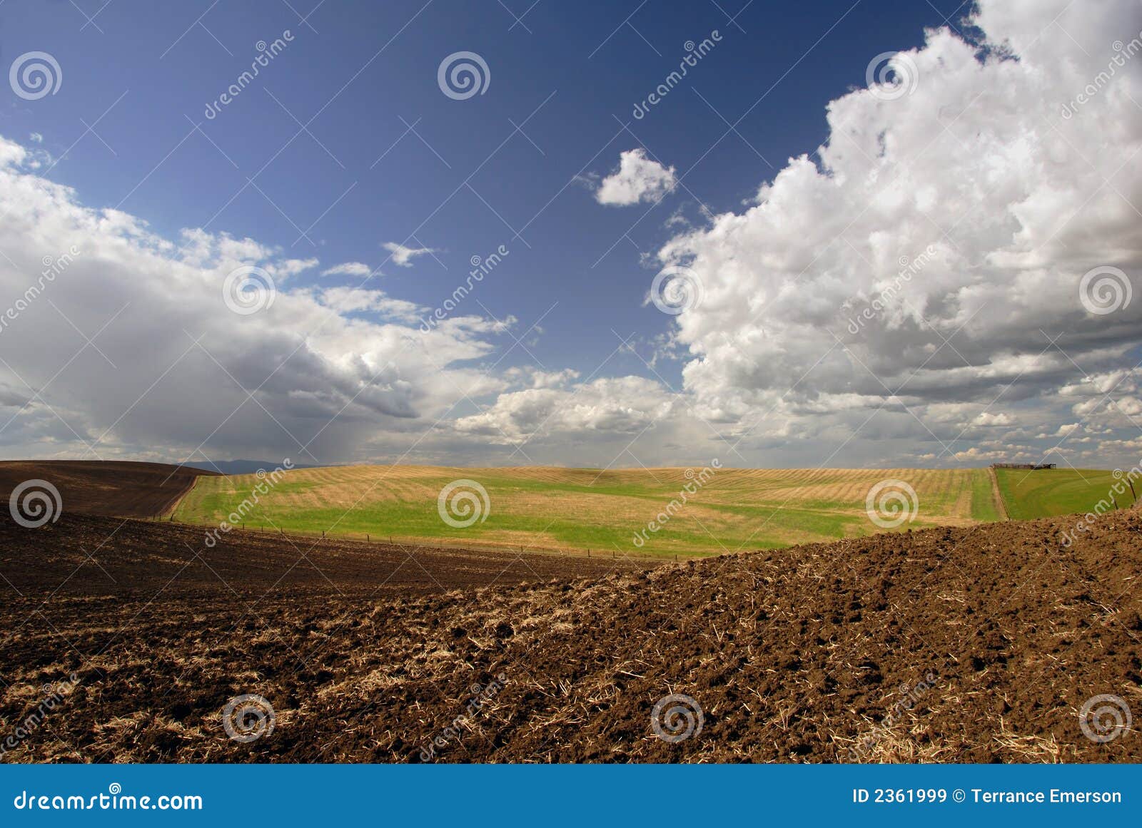 California Farm Land stock image. Image of rural, rich - 2361999