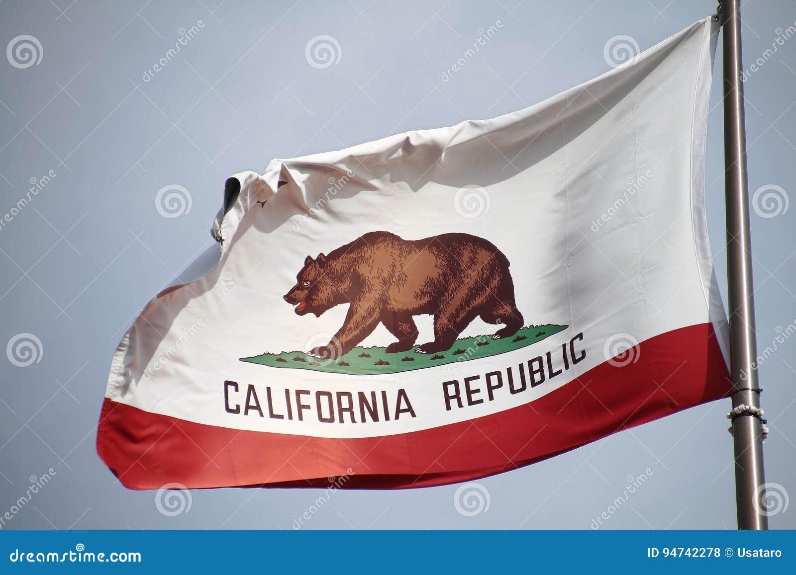 Calif Bear Flag