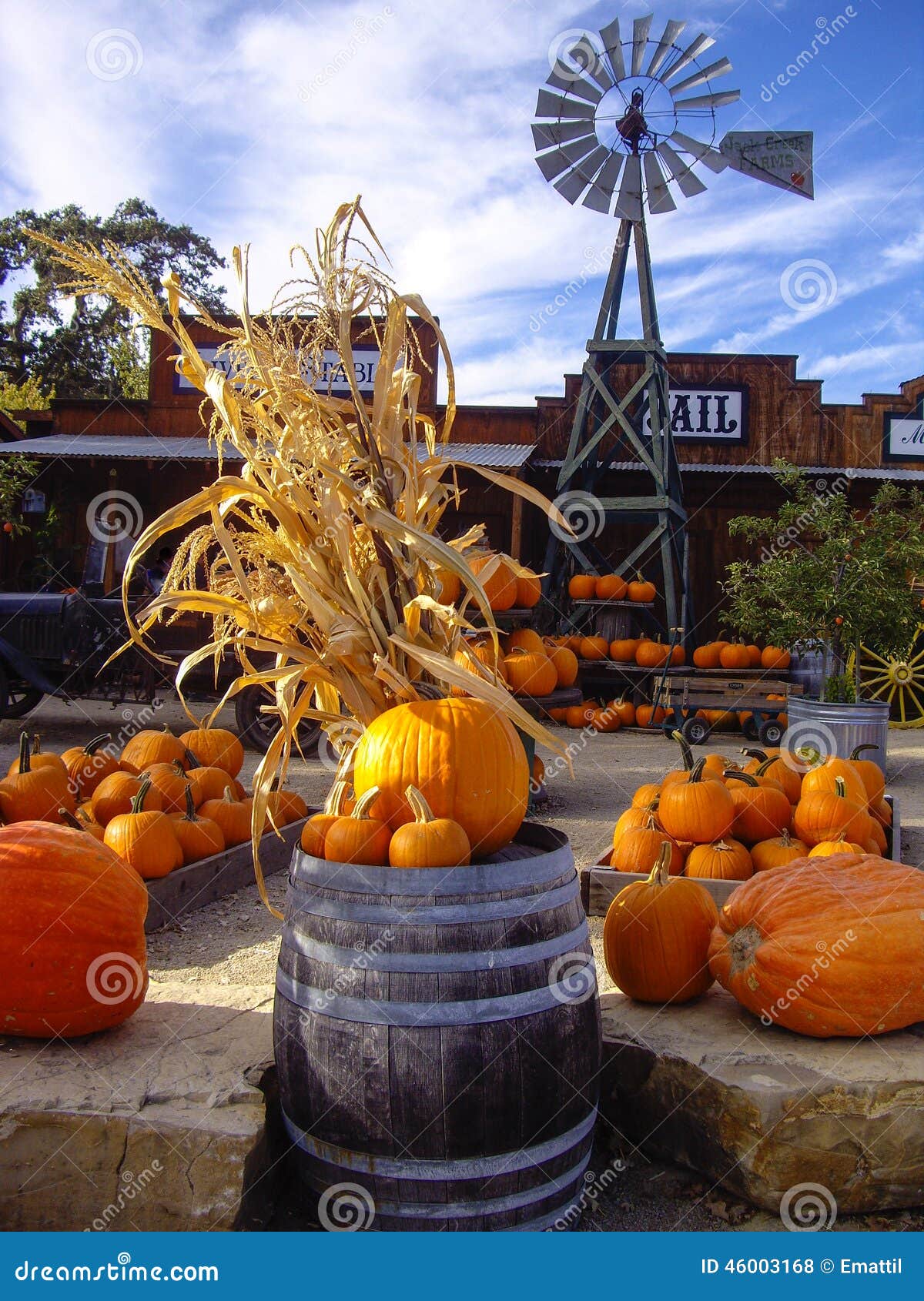California Fruit Stand stock photo. Image of halloween - 46003168