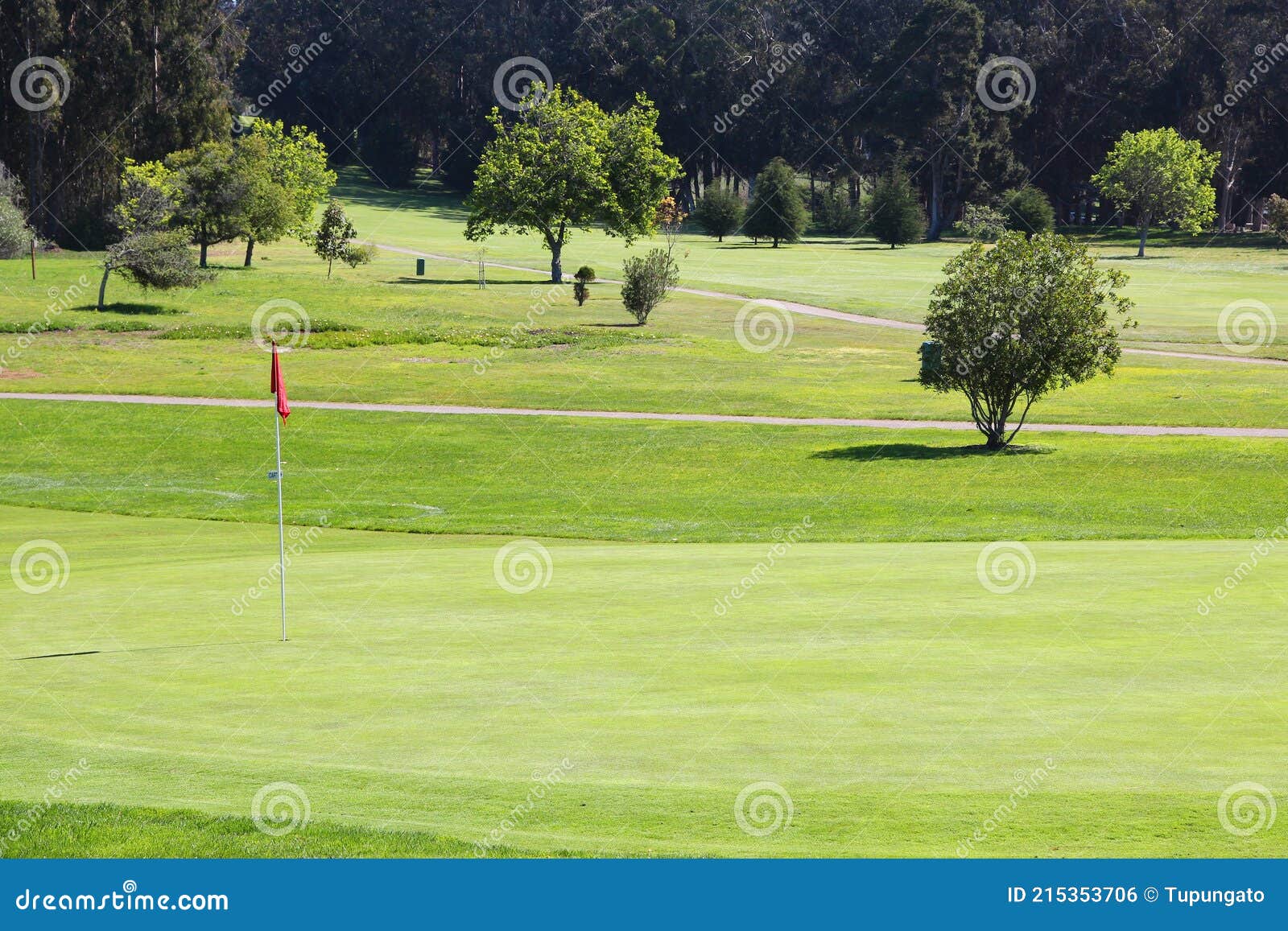 California Generic Golf Course Green Stock Photo - Image of luxurious ...