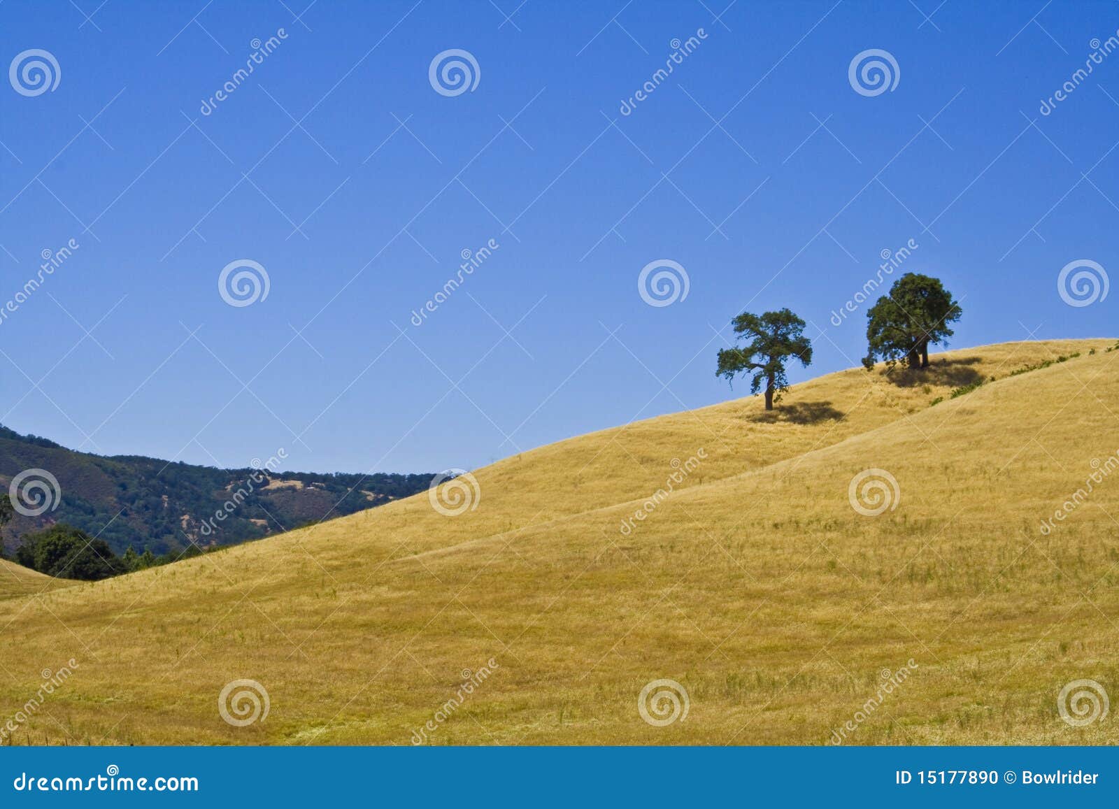 California hillside stock photo. Image of background - 15177890