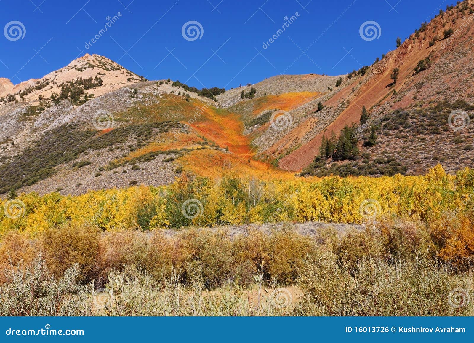 California. Mountain Slopes Stock Photo - Image of peak, summer: 16013726
