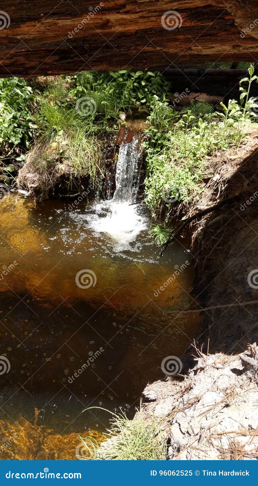 California Nature Creek Waterfall Stock Image - Image of stream, water ...
