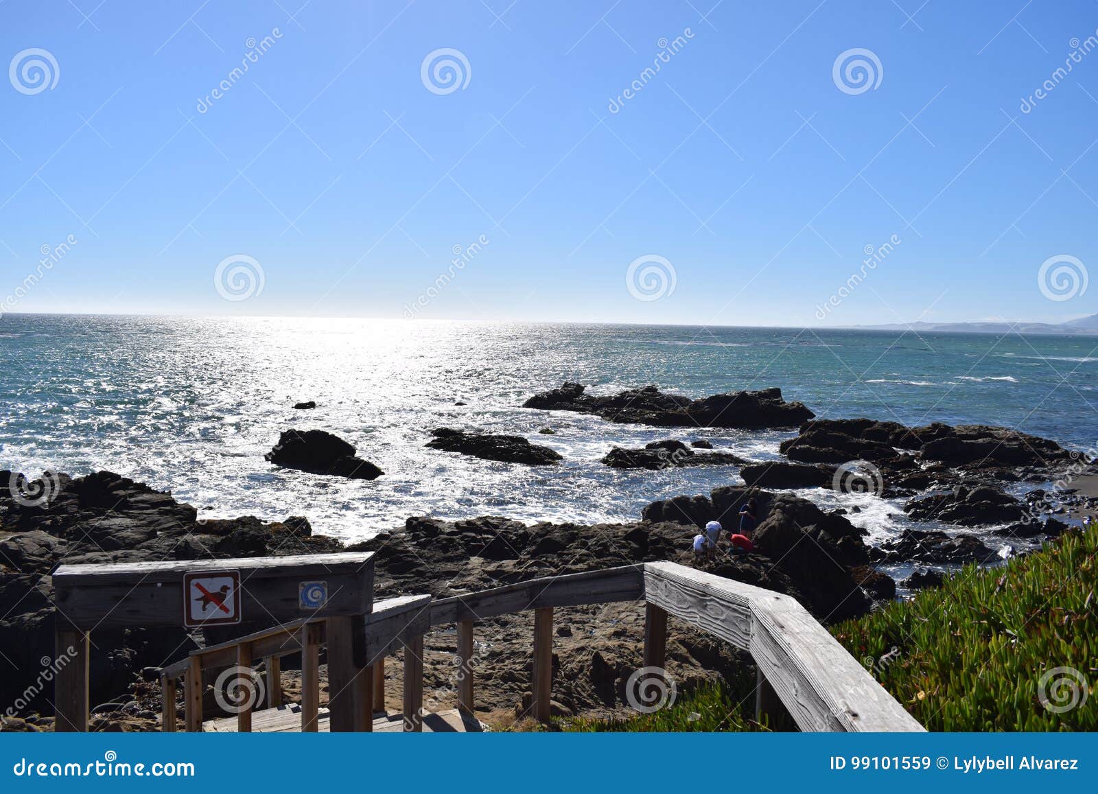California editorial stock image. Image of ocean, shore - 99101559
