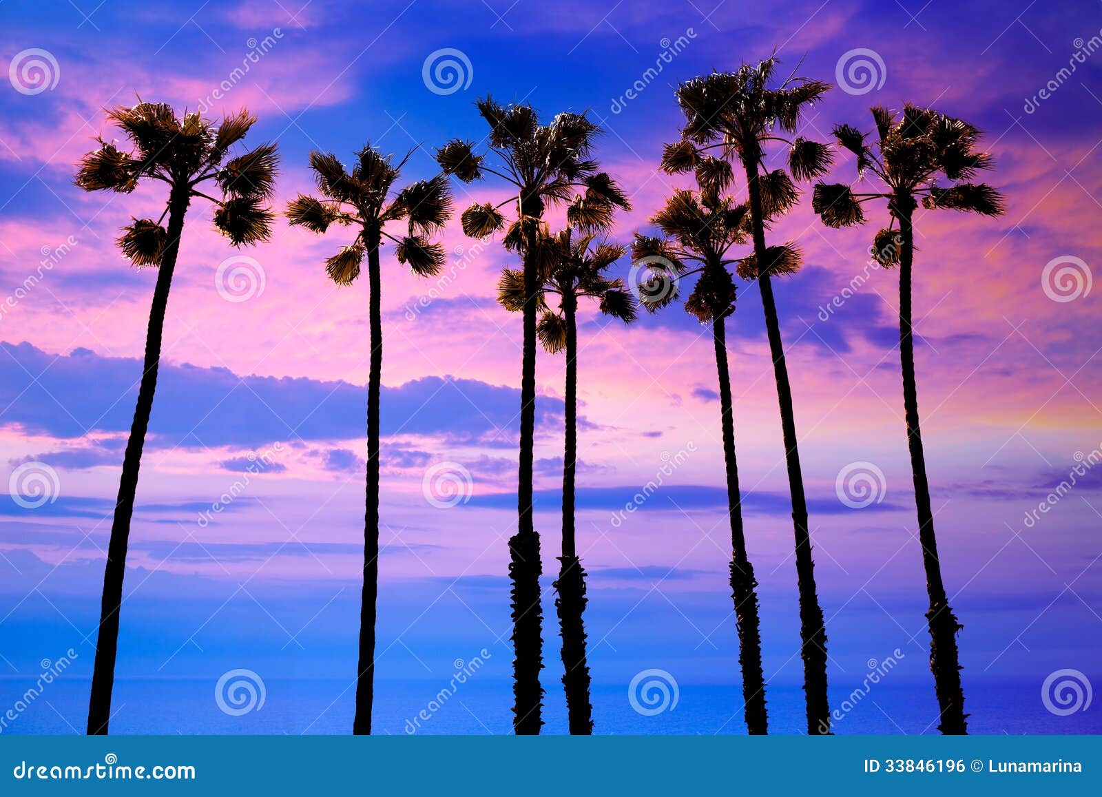 California Palm Trees Sunset with Colorful Sky Stock Photo - Image of ...