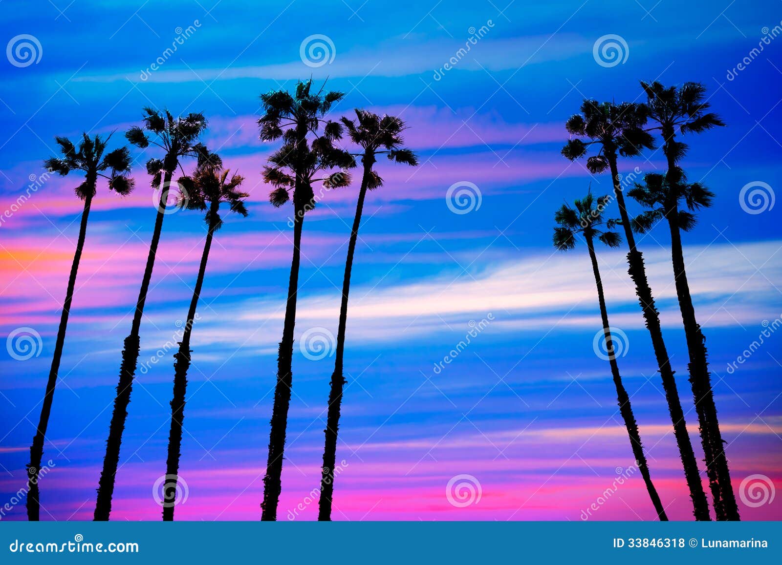 California Palm Trees Sunset with Colorful Sky Stock Photo - Image of ...