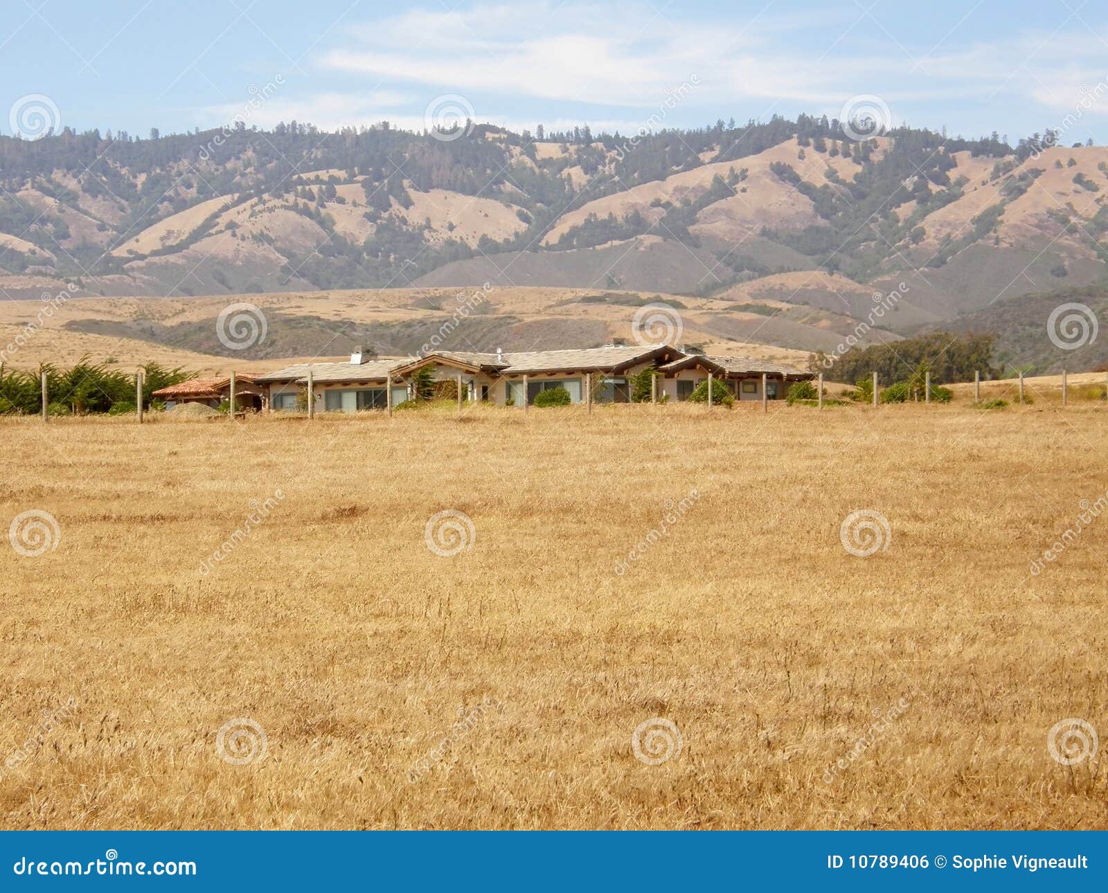 California ranch stock photo. Image of tree, fence, vacation - 10789406