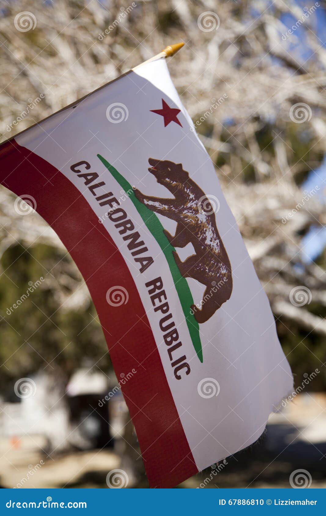 California Republic Flag stock photo. Image of object - 67886810