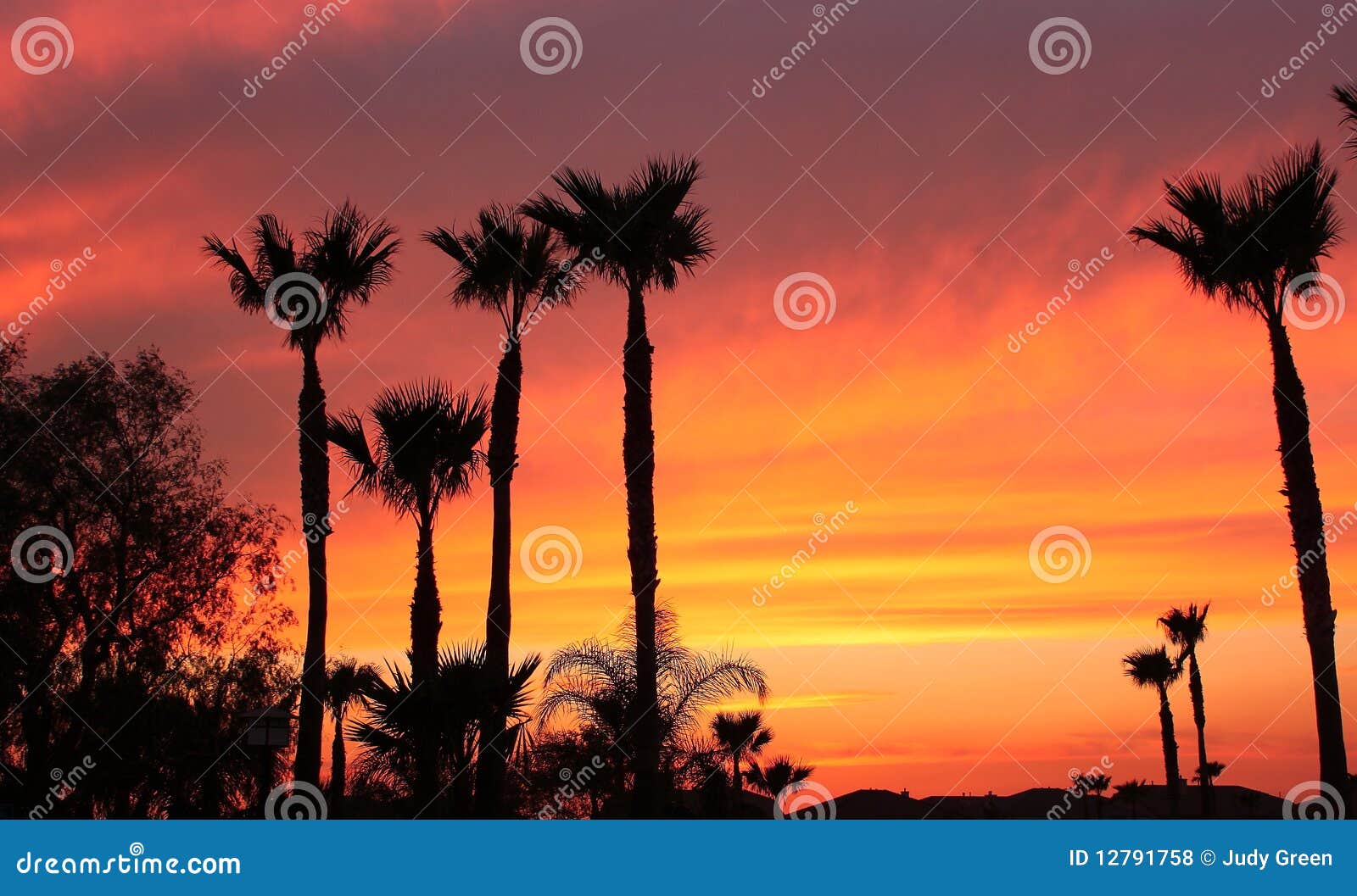California Sunset stock photo. Image of california, pink - 12791758