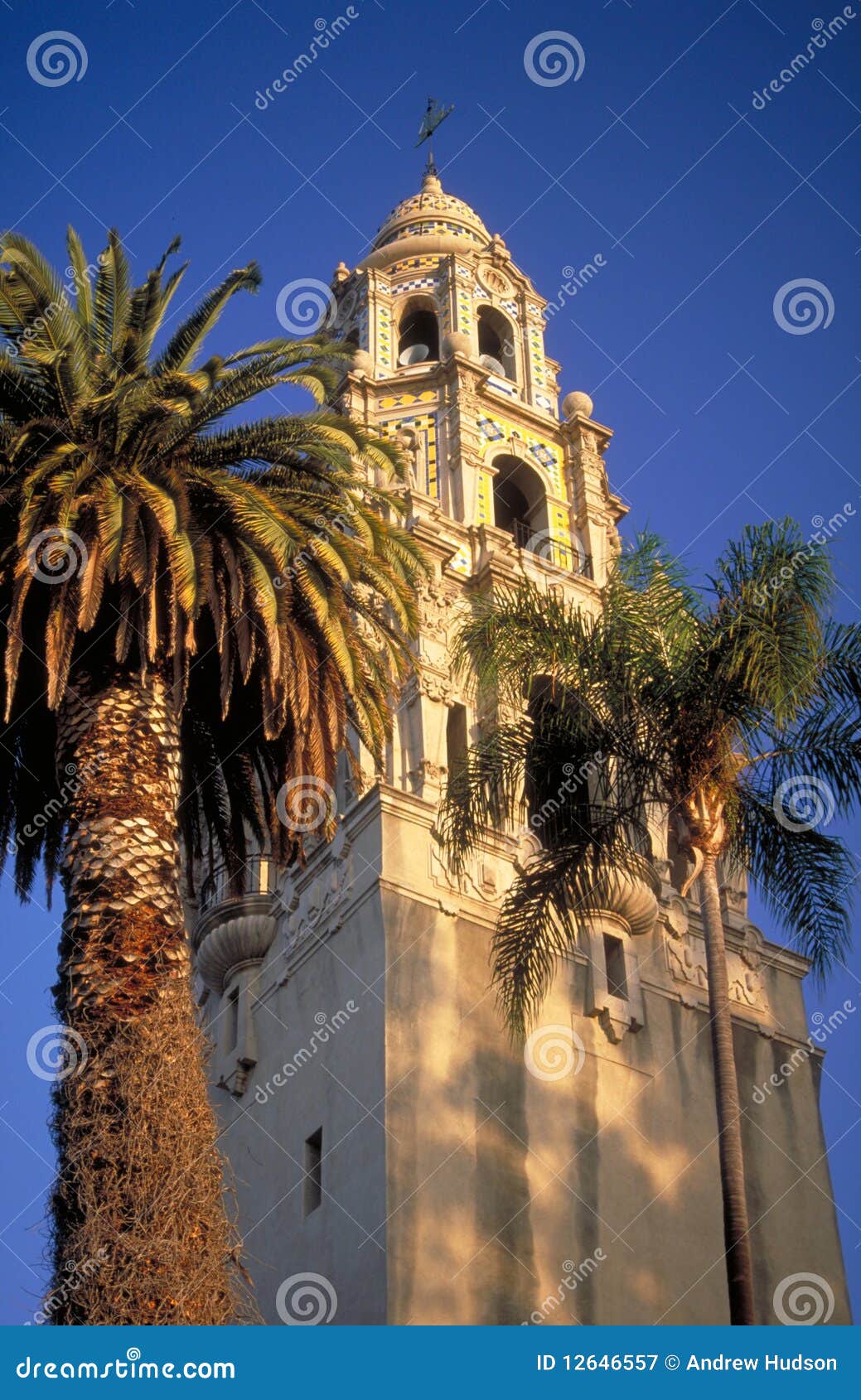 California Tower with Palm Tree Stock Image - Image of balboa, tree ...