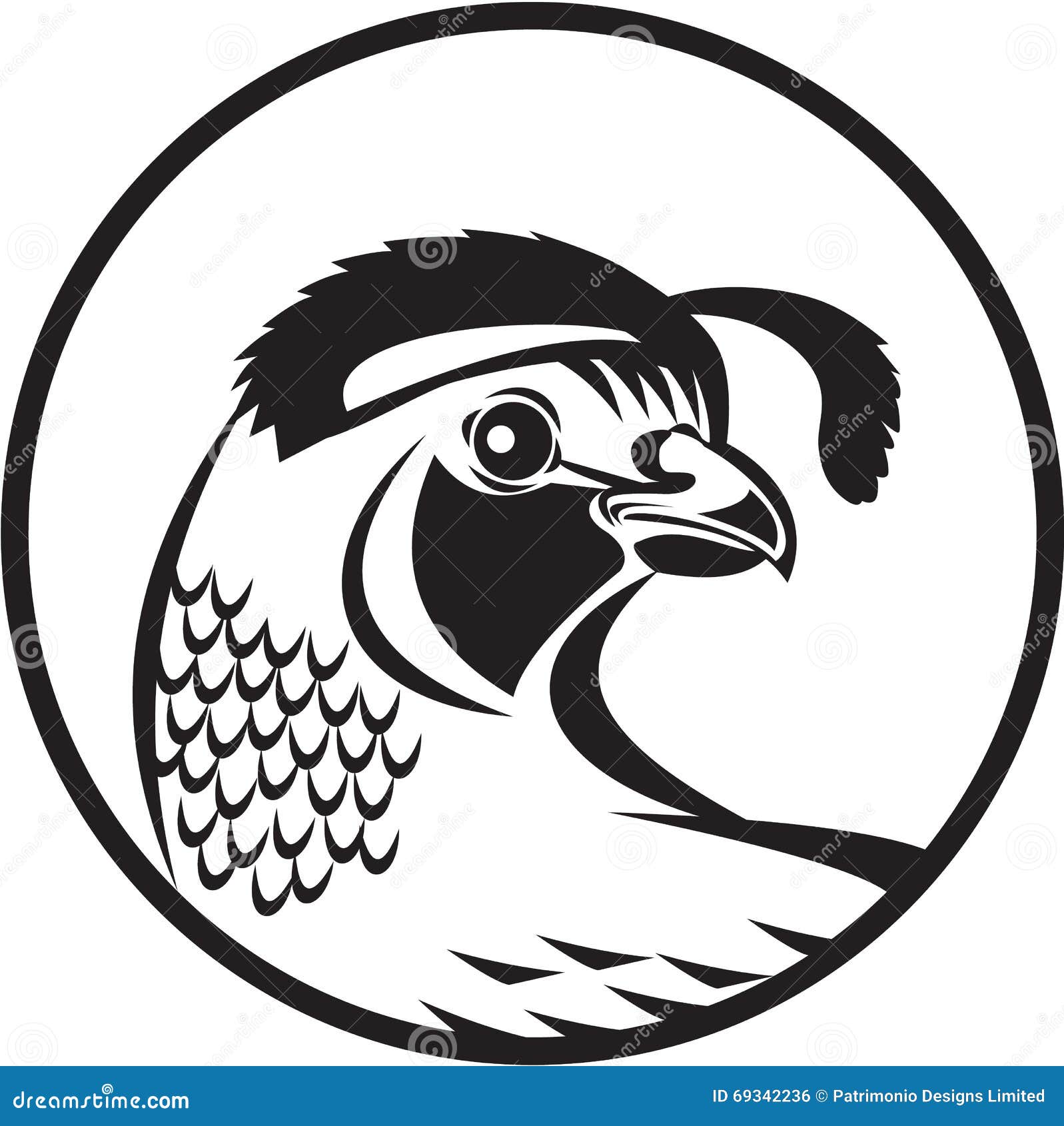 California Valley Quail Circle Black And White Stock Vector