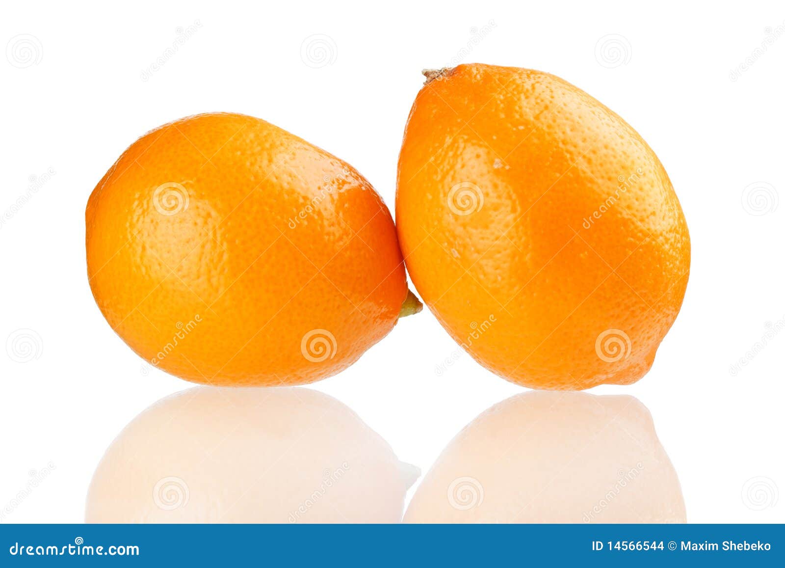 Californian lemons stock photo. Image of lemon, detail - 14566544