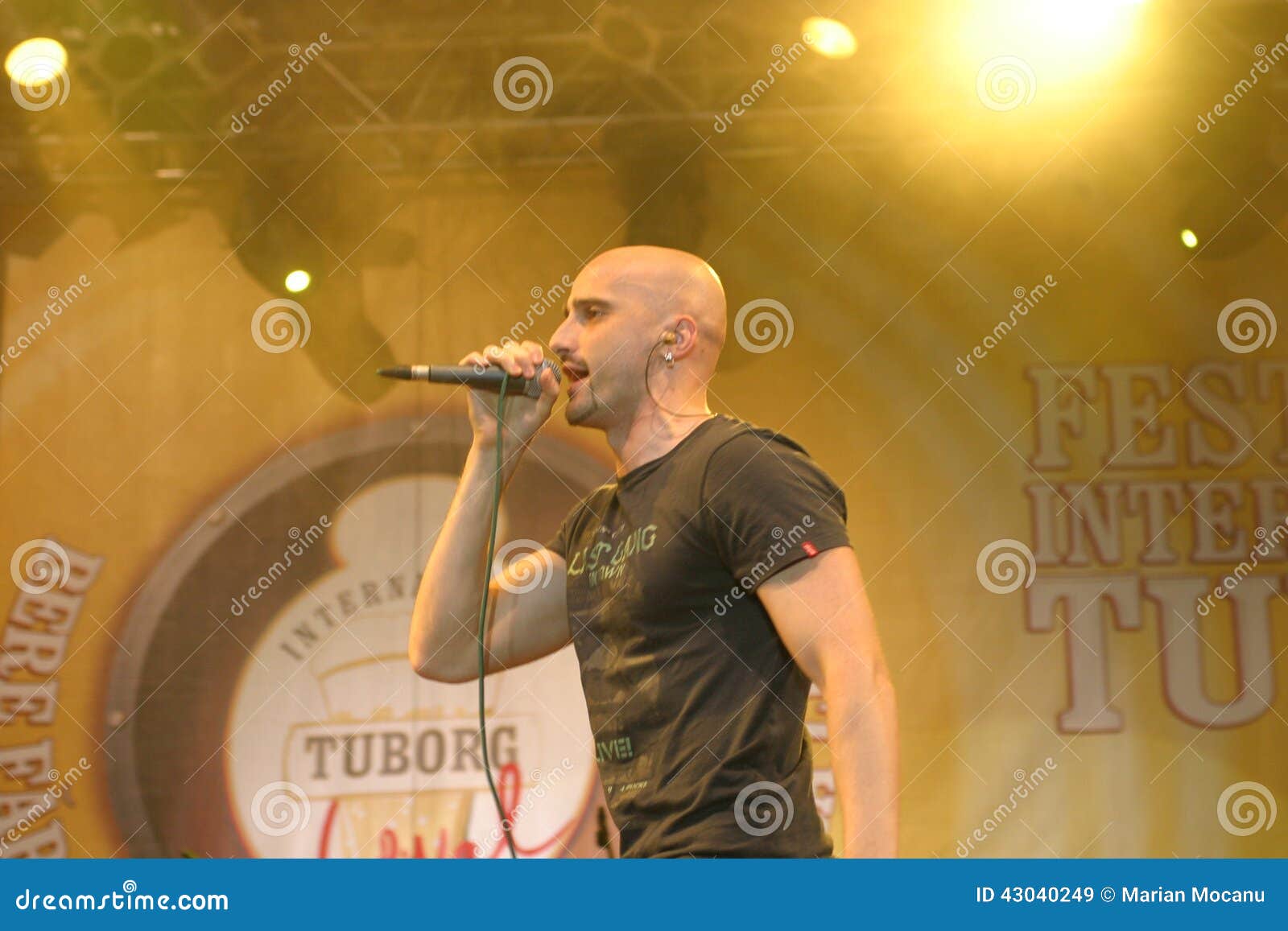 Calin Goia editorial stock image. Image of rock, romanian - 43040249