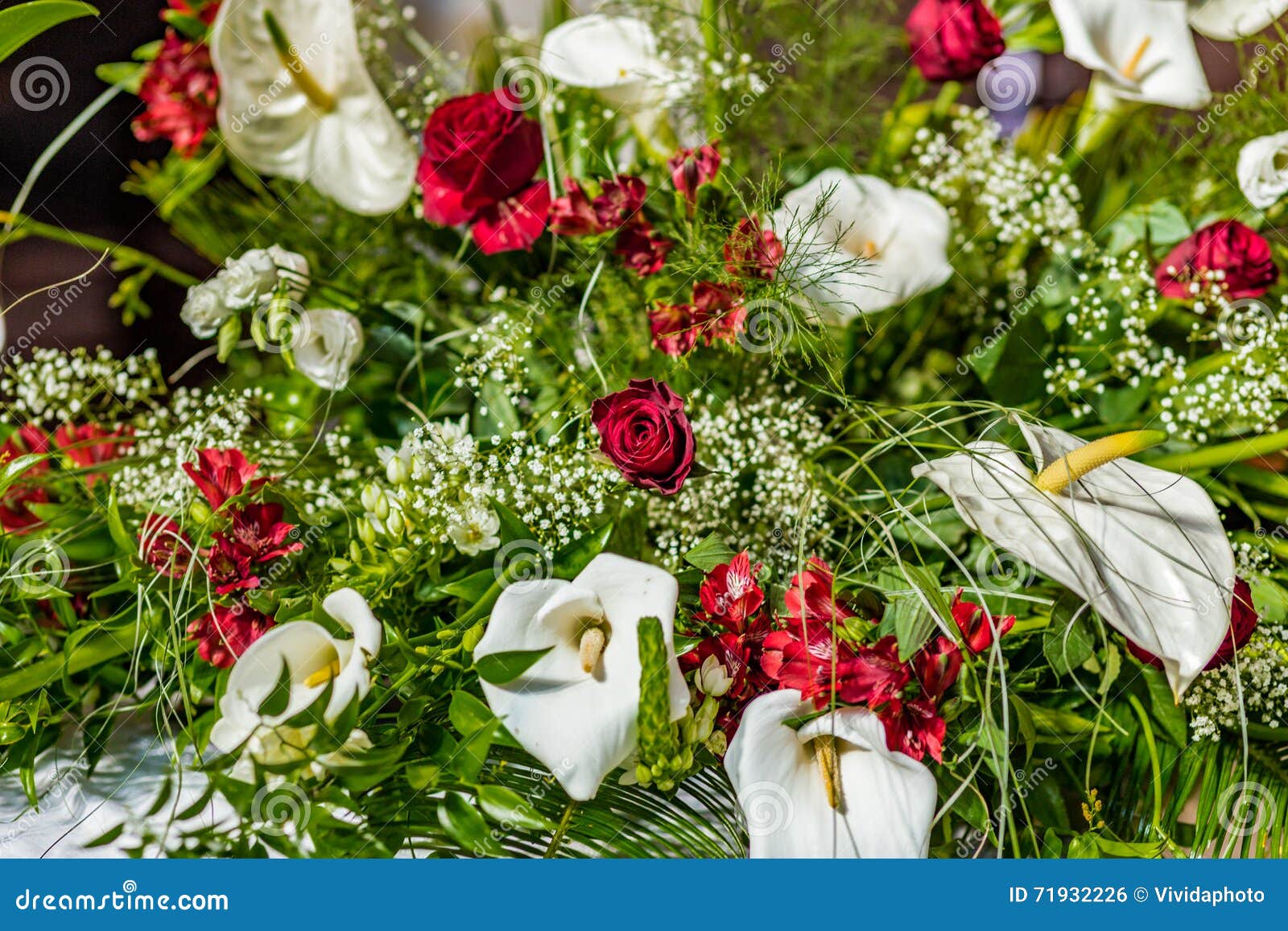 Calla Bianca E Del Rosa Rossa Fotografia Stock - Immagine di rosso ...