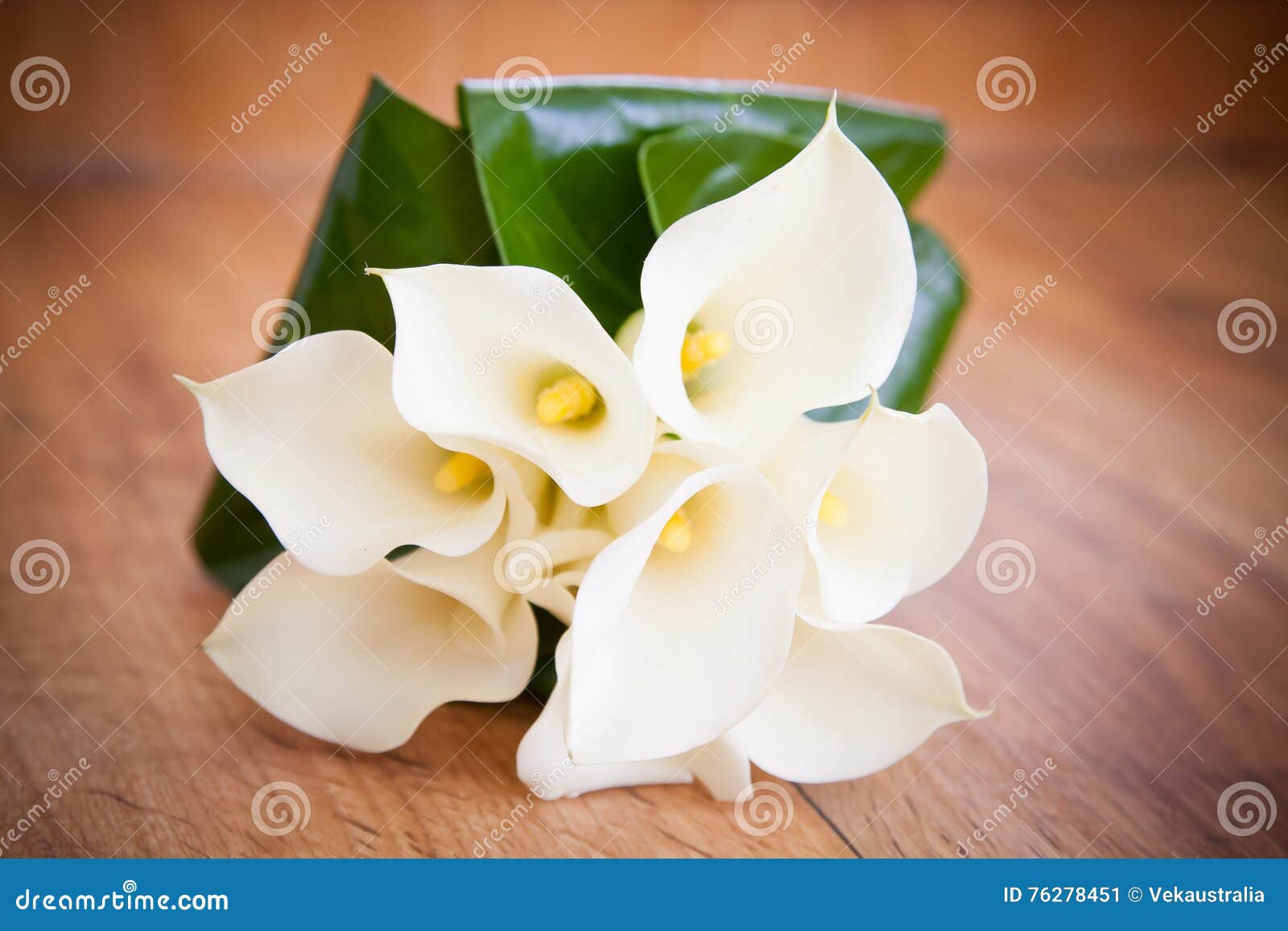 Calla Bianca Lily Wedding Flower Bouquet Immagine Stock - Immagine di ...