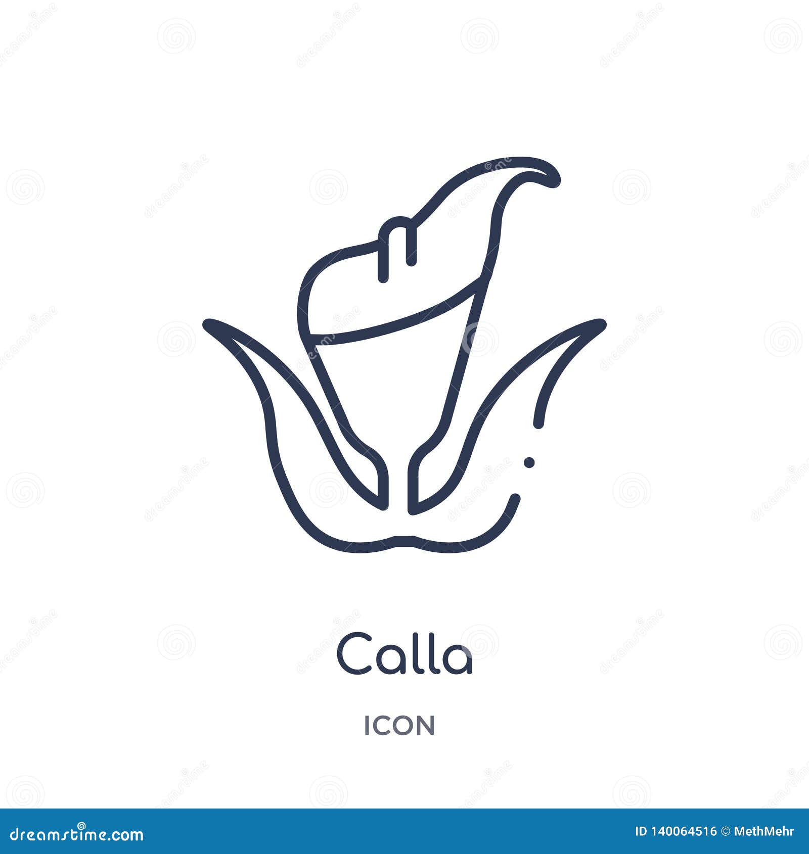Calla Thin Line Icon, Summer Flowers Concept, Arum Lily Sign On White ...