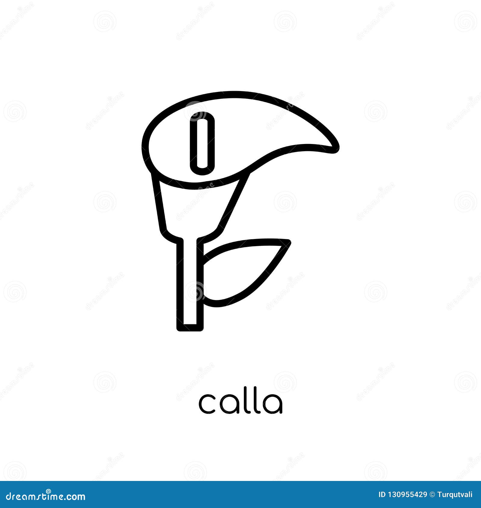 Calla Thin Line Icon, Summer Flowers Concept, Arum Lily Sign On White ...