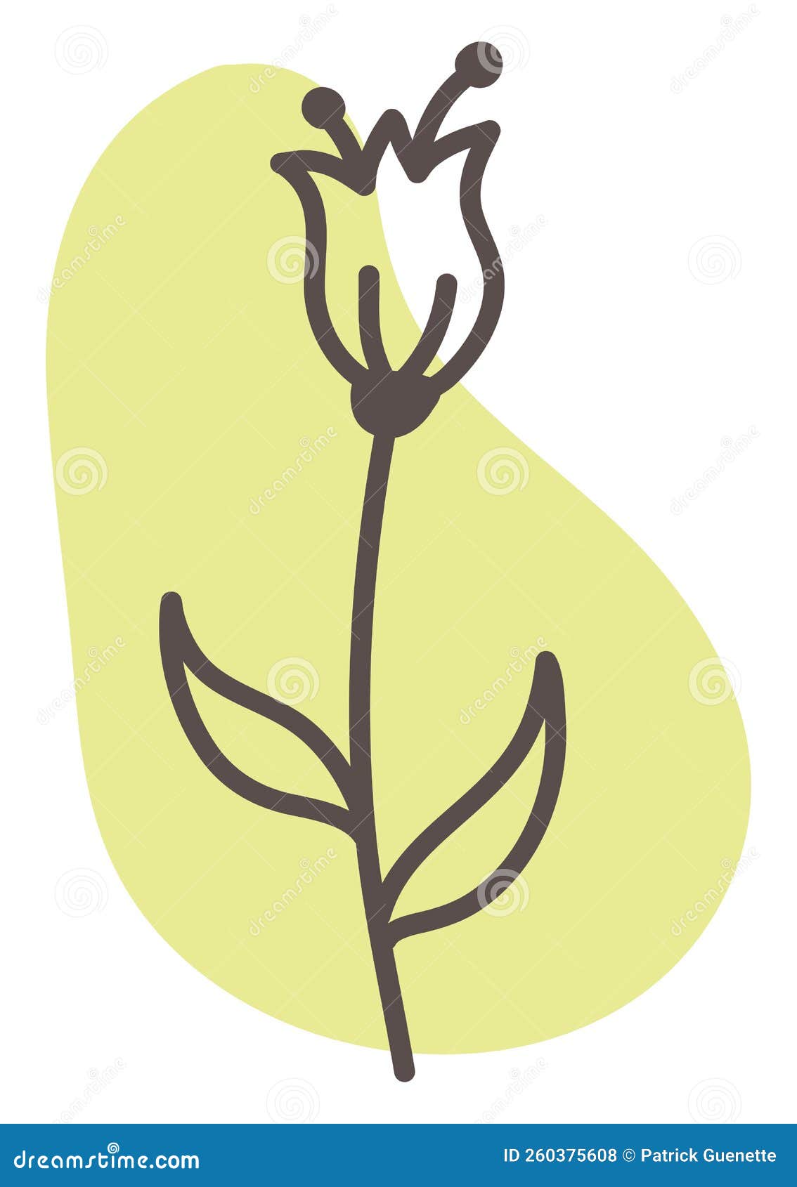 Calla lili flower, icon stock vector. Illustration of abstract - 260375608