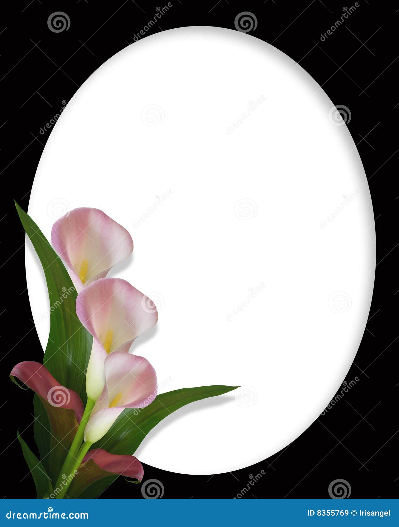 Calla Lilies Border on Black Oval Frame Stock Illustration ...