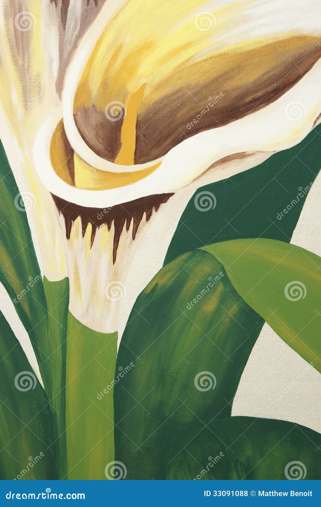 Calla Lilies Painting stock photo. Image of flower, blossom - 33091088
