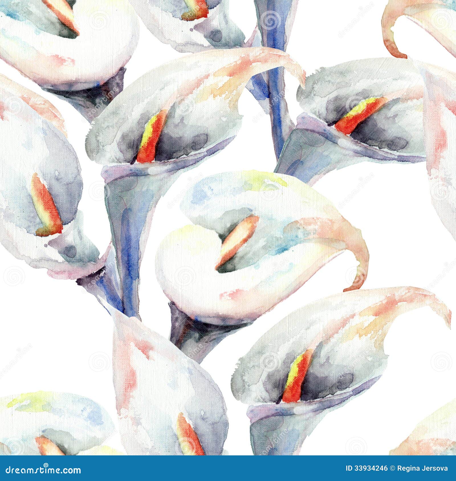 Calla Lily Flowers, Watercolor Illustration Stock Illustration ...