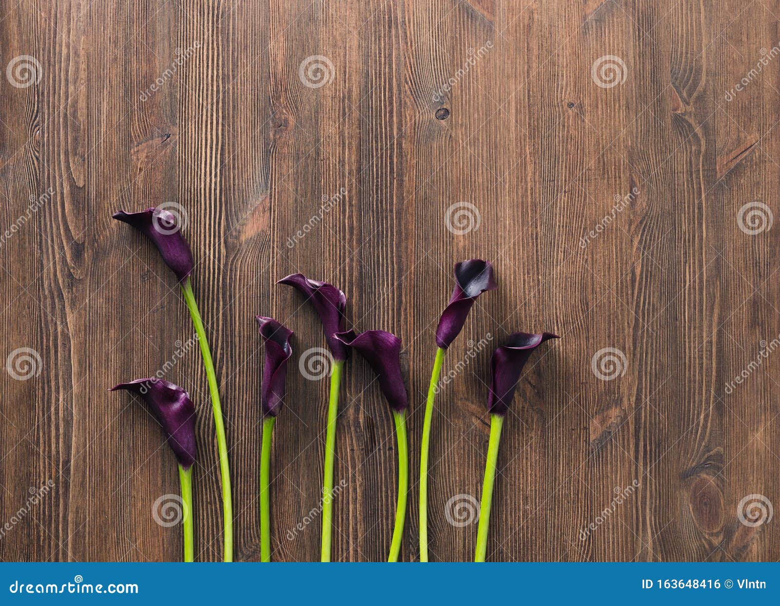 Calla lily wooden table stock photo. Image of purple - 163648416