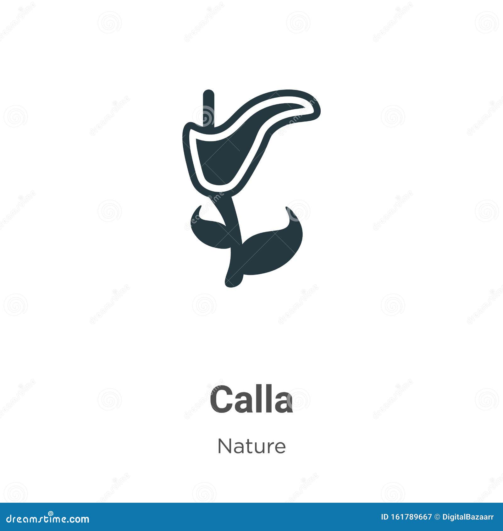 Calla Vector Icon on White Background. Flat Vector Calla Icon Symbol ...