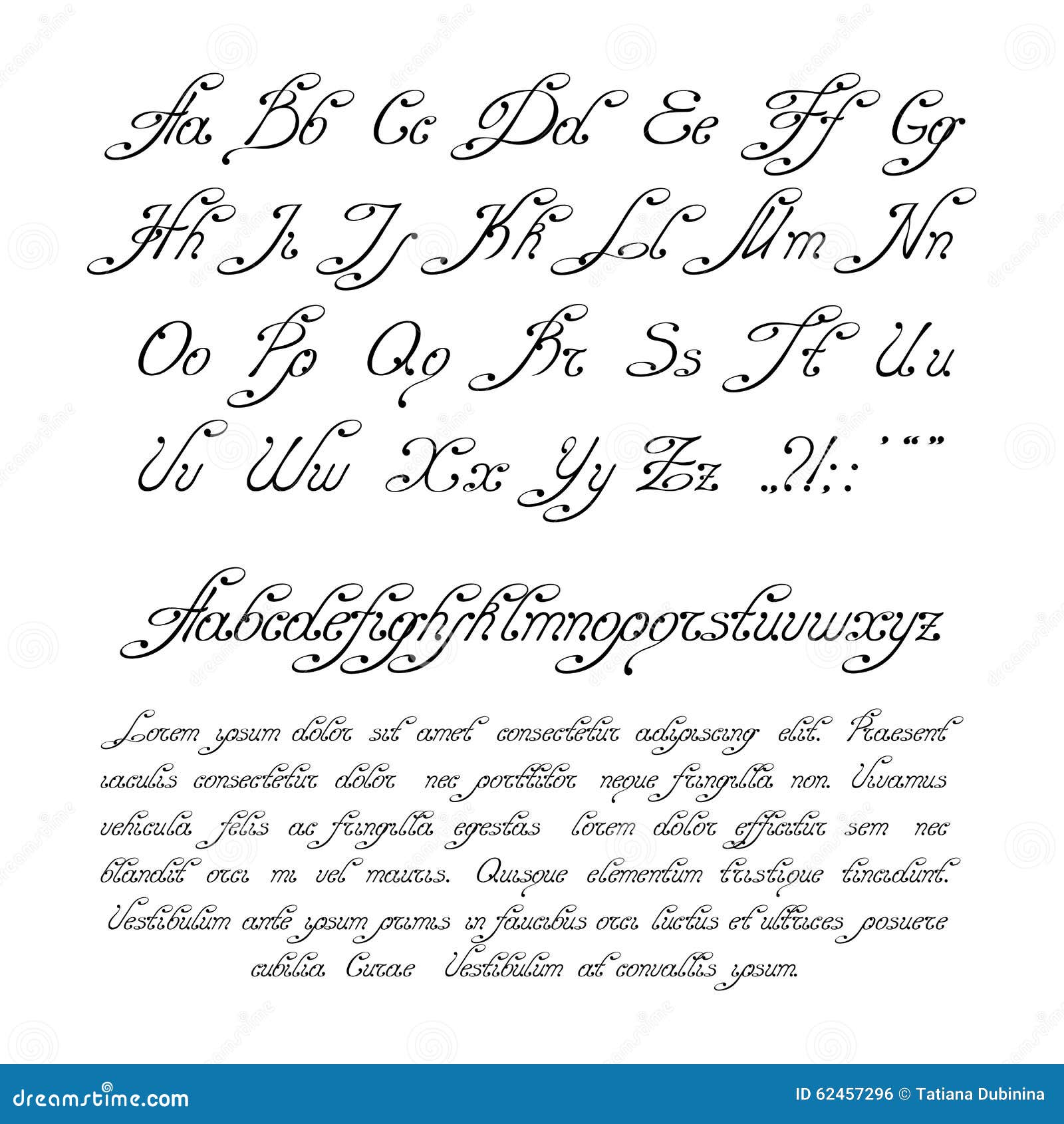 Calligraphic alphabet stock vector. Illustration of lowercase - 62457296