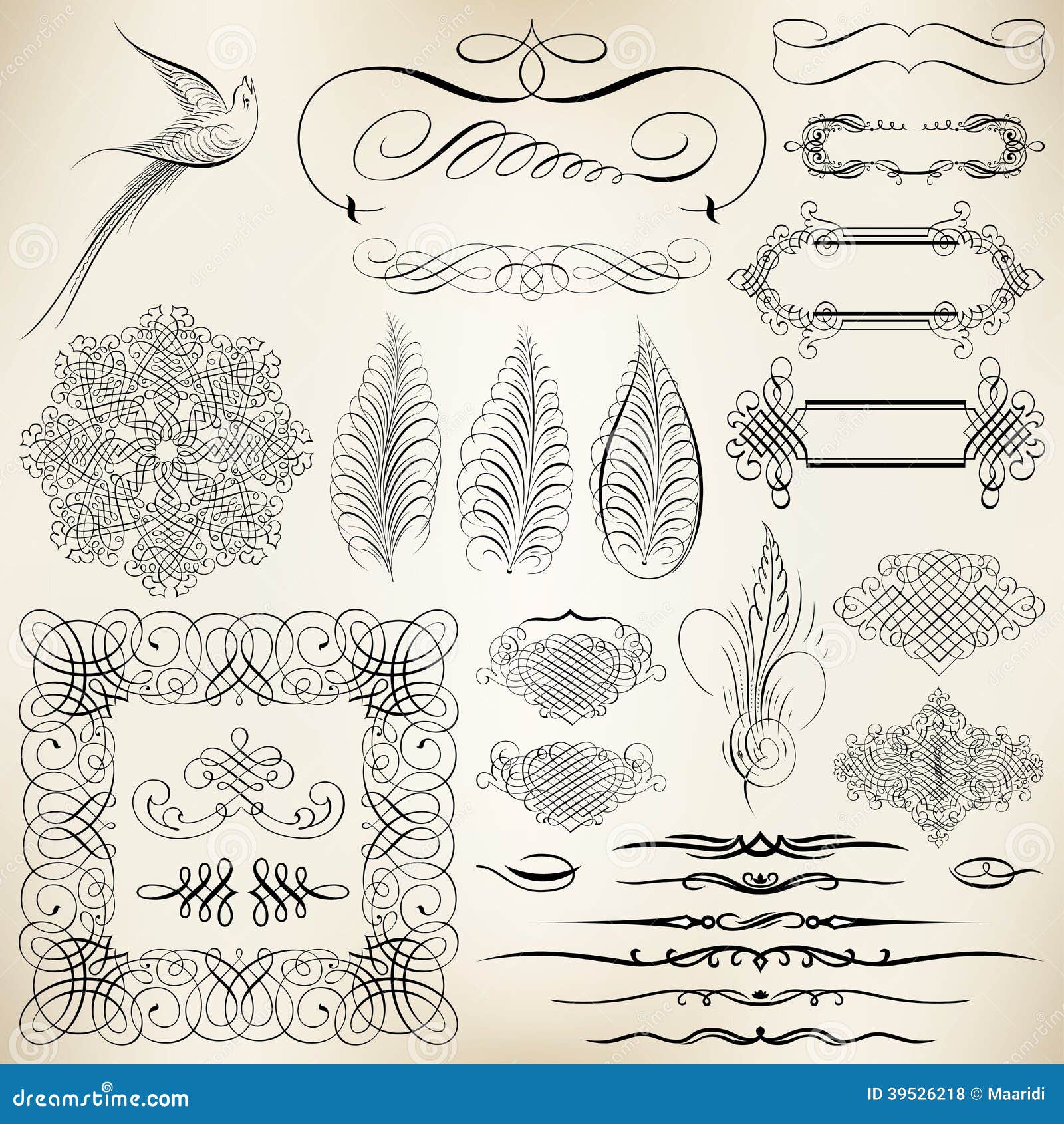 Calligraphic Design Elements Stock Vector - Illustration of classic ...