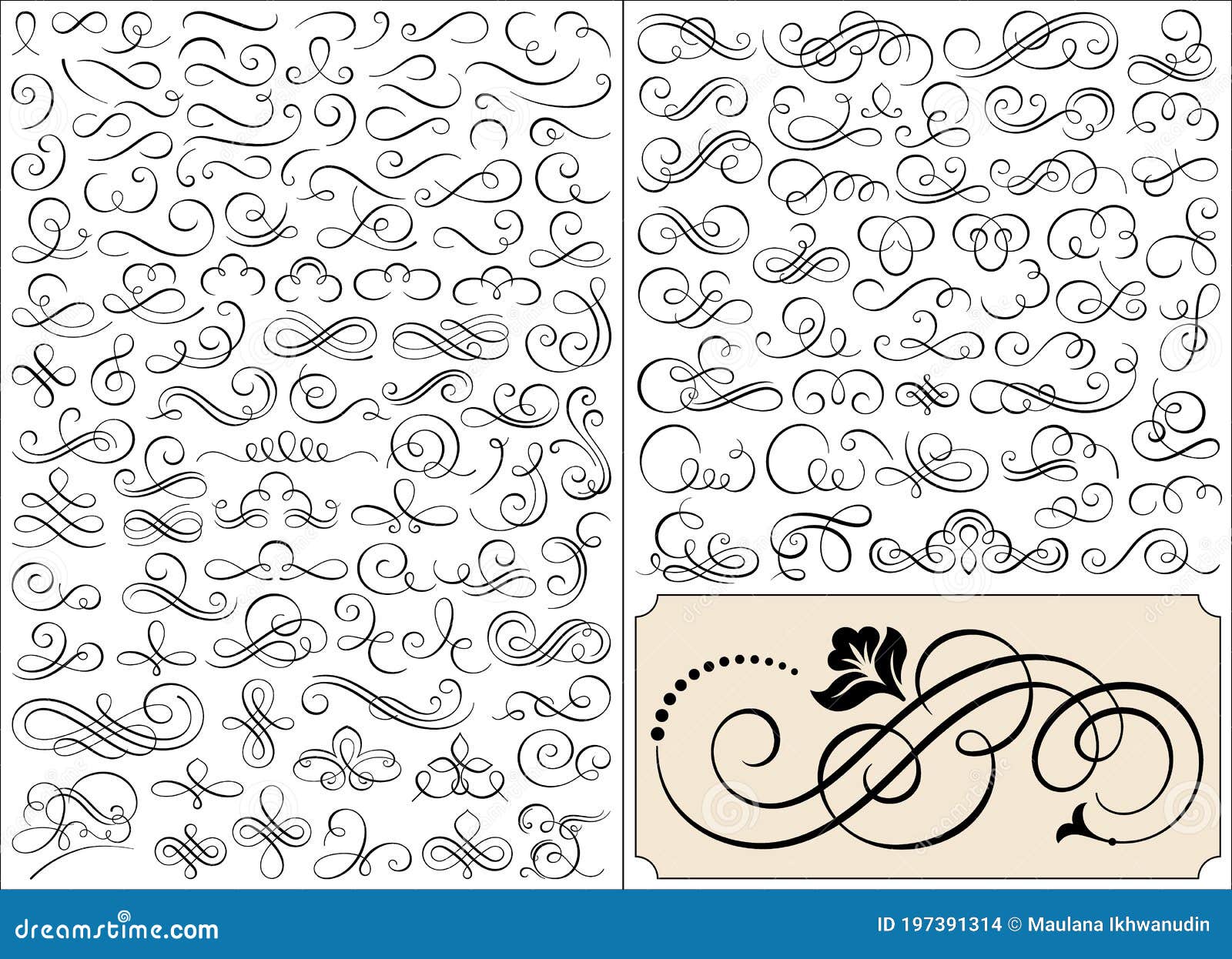 Calligraphic Scroll Ornament Design Elements Vector Set Stock Vector ...