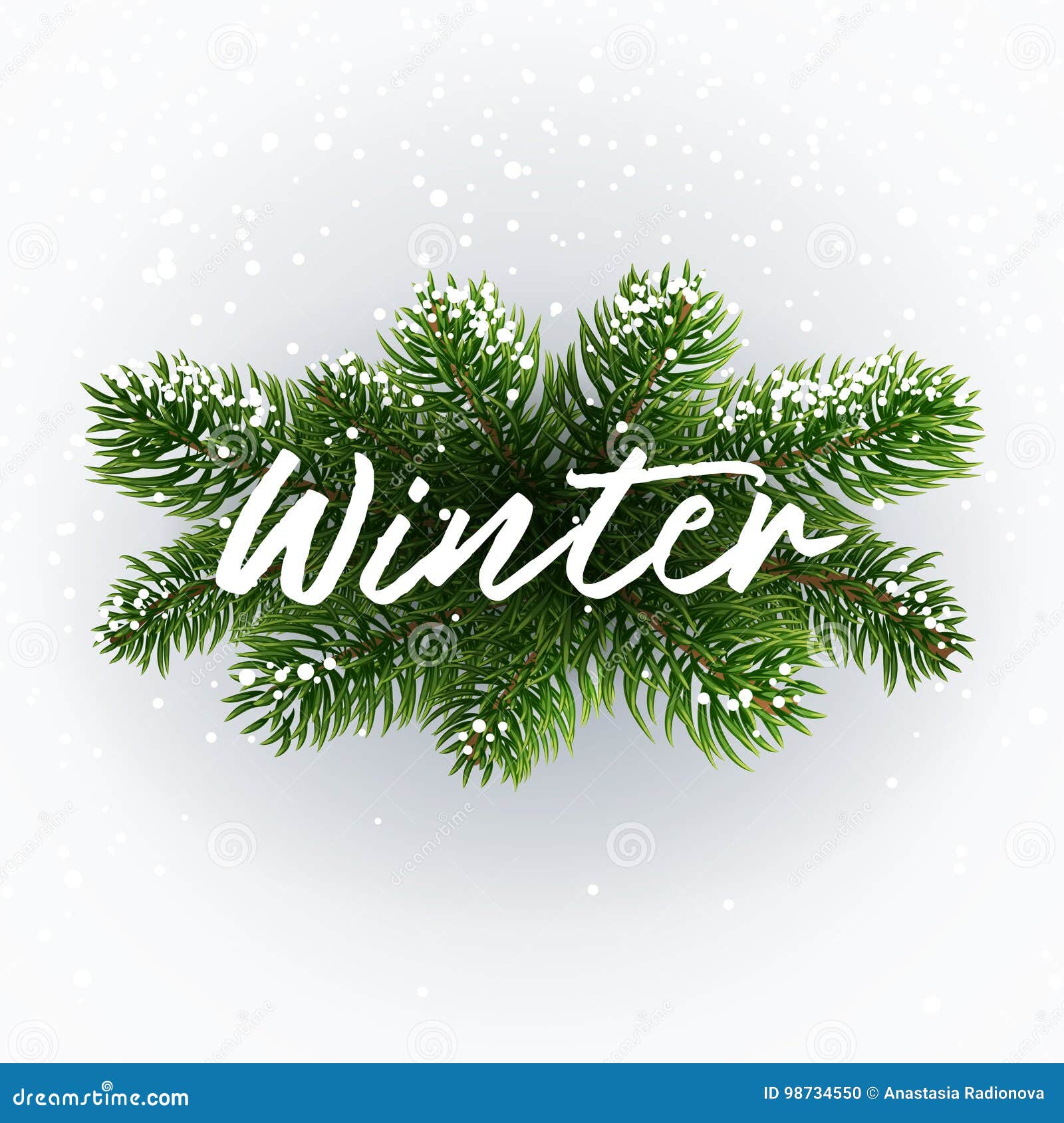 Calligraphic Writing Winter on Christmas Branches Stock Vector ...