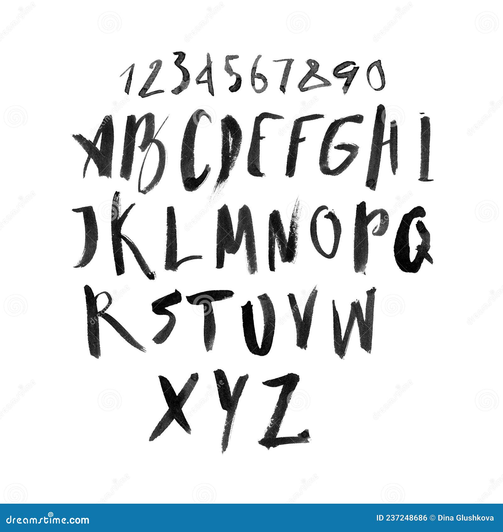 Calligraphy Alphabet, Letters and Numbers, Hand Drawn Style Stock Photo ...