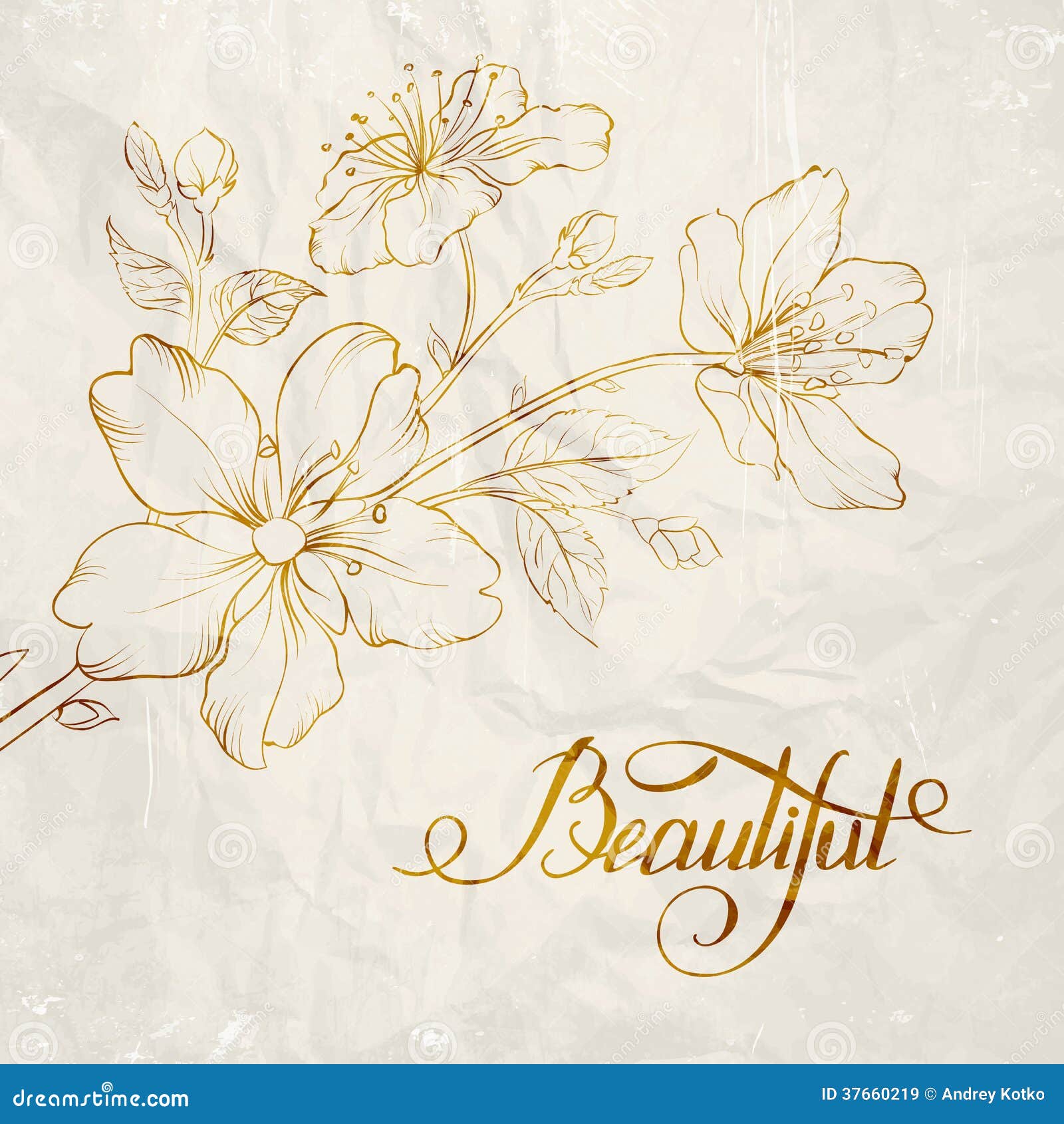 Calligraphy Cherry Blossom. Stock Vector - Illustration of flower ...