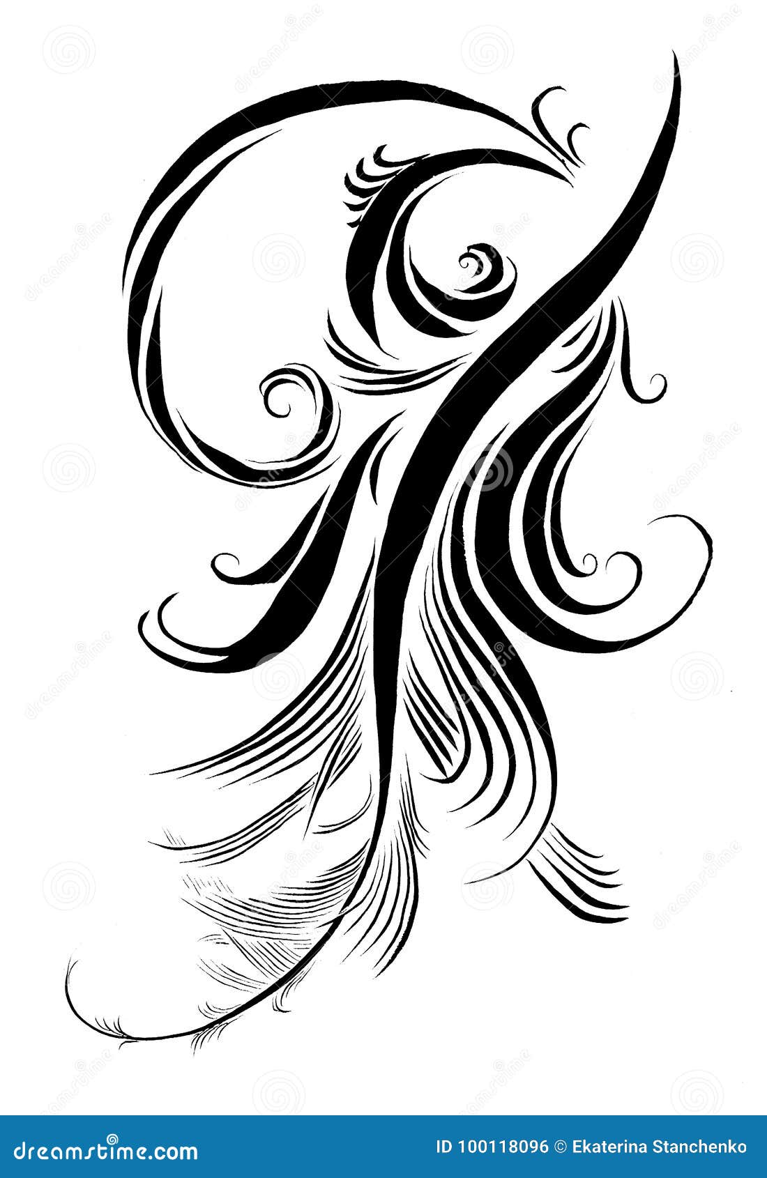 Calligraphy delicate pen stock illustration. Illustration of ...