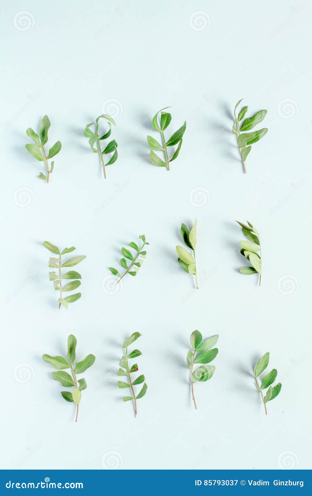 Calligraphy Floral Pattern Top View Stock Image - Image of card, petals ...