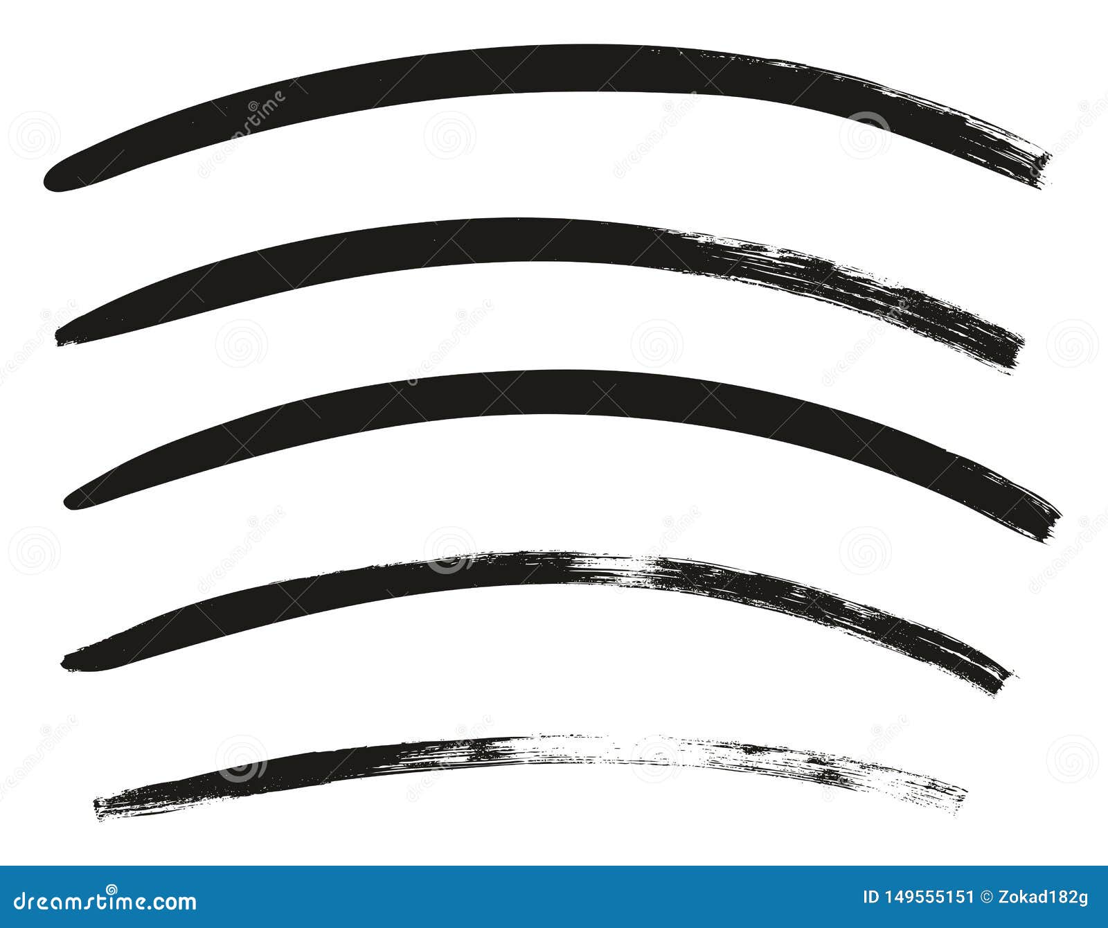 Calligraphy Paint Thin Brush Lines Curved High Detail Abstract Vector ...