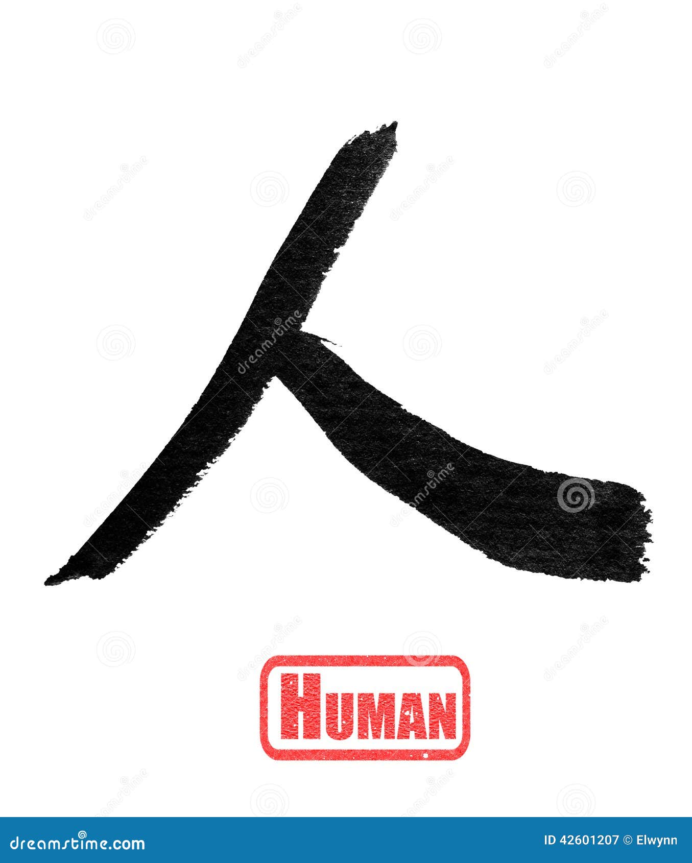 Word Human In Rainbow Colors, Lgbt Simbol, Horizontal Vector ...