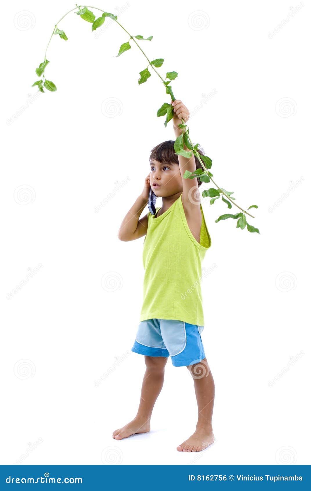 Calling stock photo. Image of male, plant, youth, leaf - 8162756