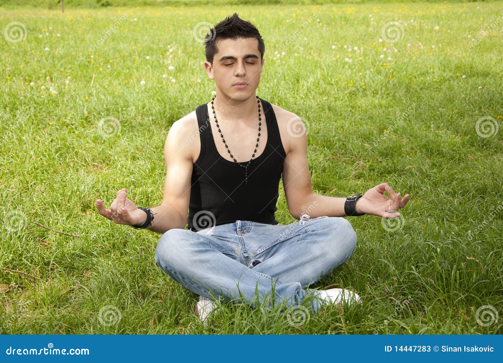 Calm stock image. Image of pose, calm, natural, park - 14447283