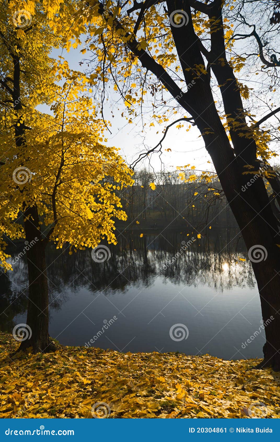 Calm autumn stock image. Image of reflections, leaves - 20304861