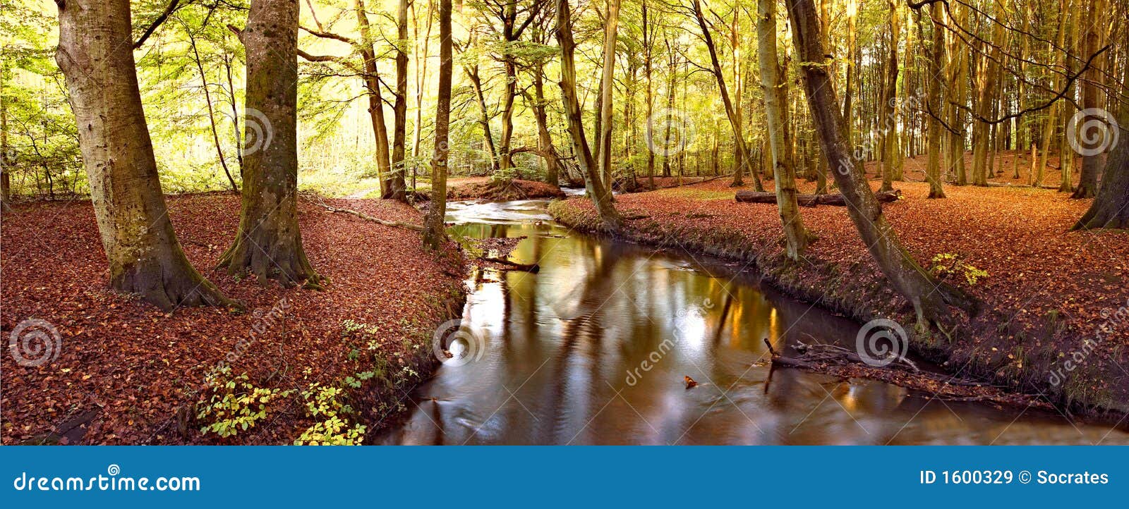 Calm autumn river stock image. Image of season, orange - 1600329