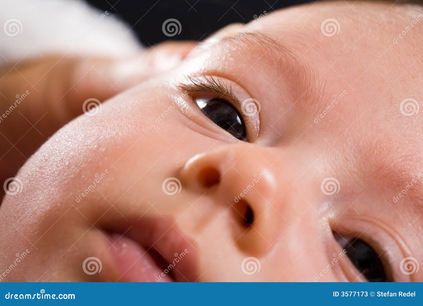 Calm baby stock image. Image of looking, calm, face, head - 3577173