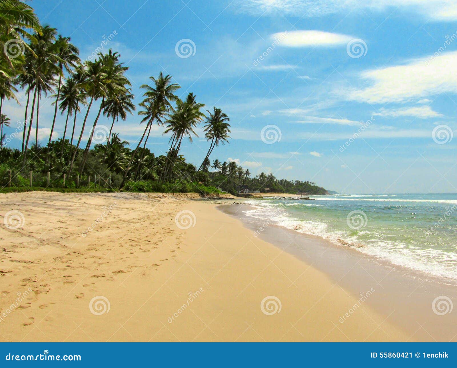 Calm Beach with Palm Trees and Sand, Sri-Lanka Stock Image - Image of ...