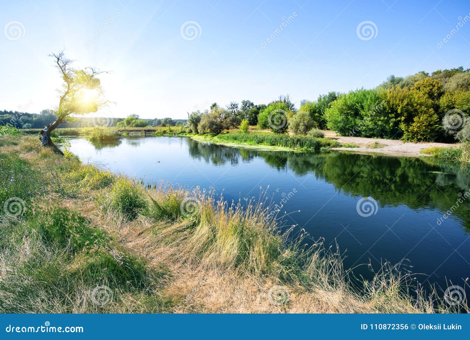Calm Blue River Lit by the Sun Stock Photo - Image of national, sunrise ...