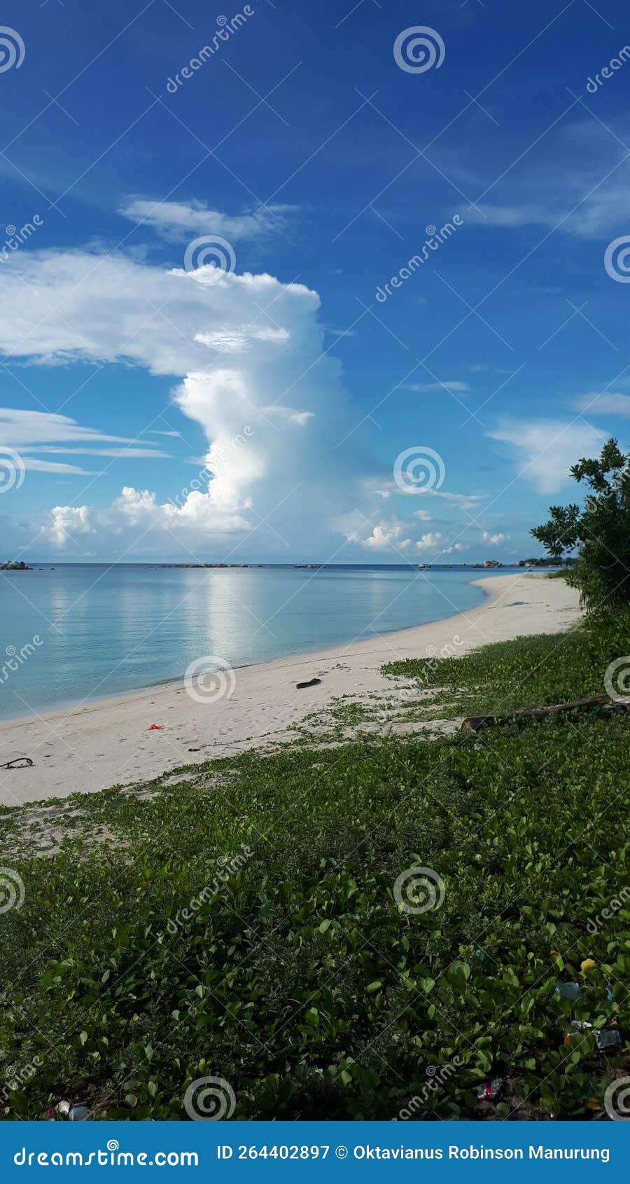 Calm with blue Sky stock image. Image of calm, sunlight - 264402897