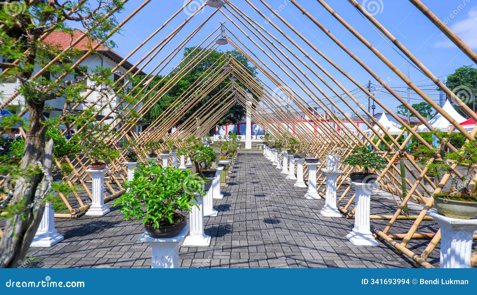 Calm Bonsai Botanical Garden with Triangular Bamboo Structure Stock ...