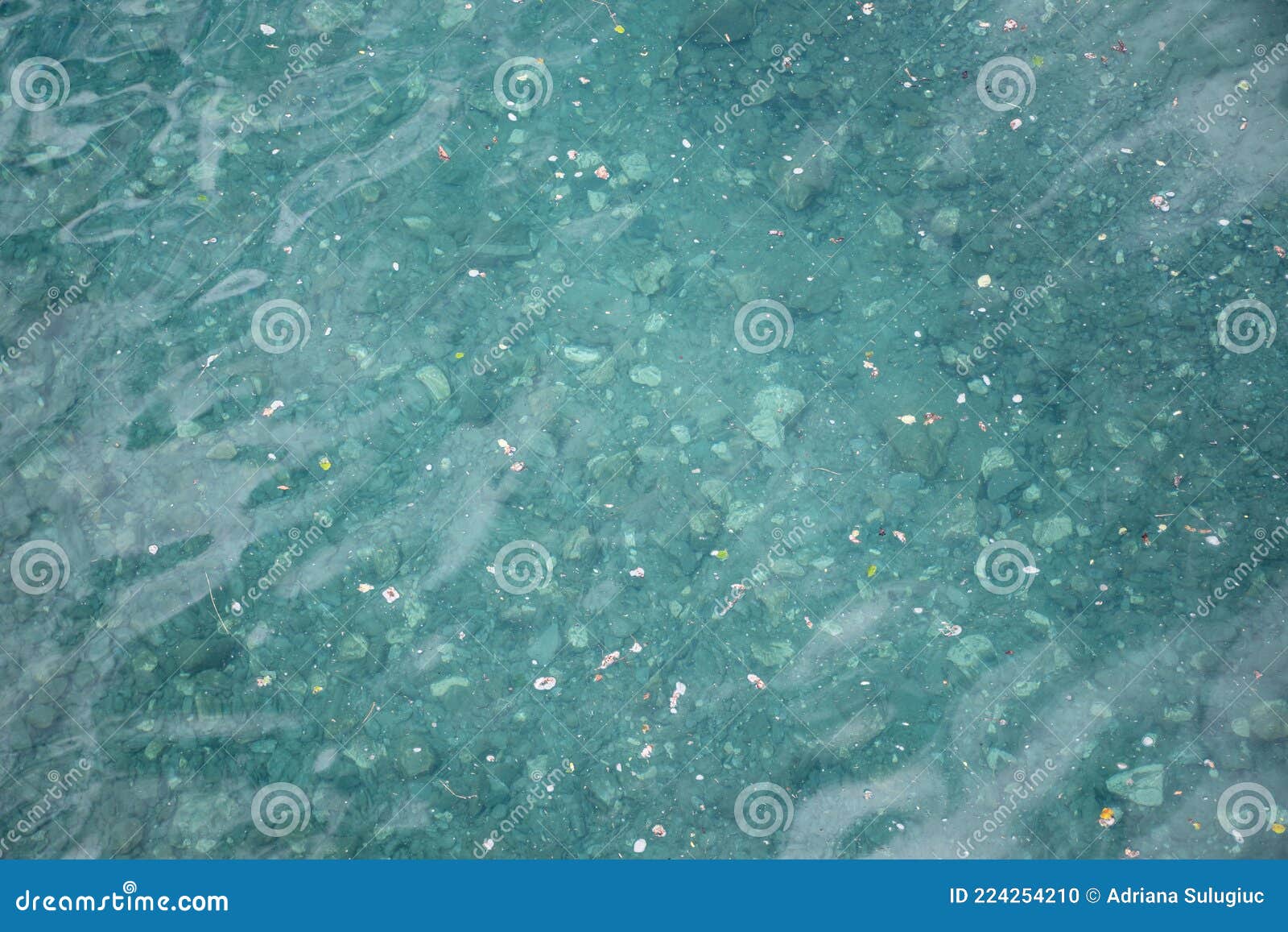 Calm and clear river water stock photo. Image of clean - 224254210